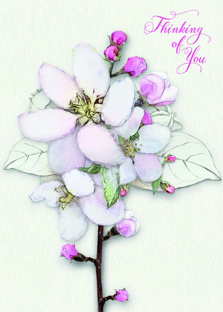 Thinking of You Week - Stationery Trends Magazine